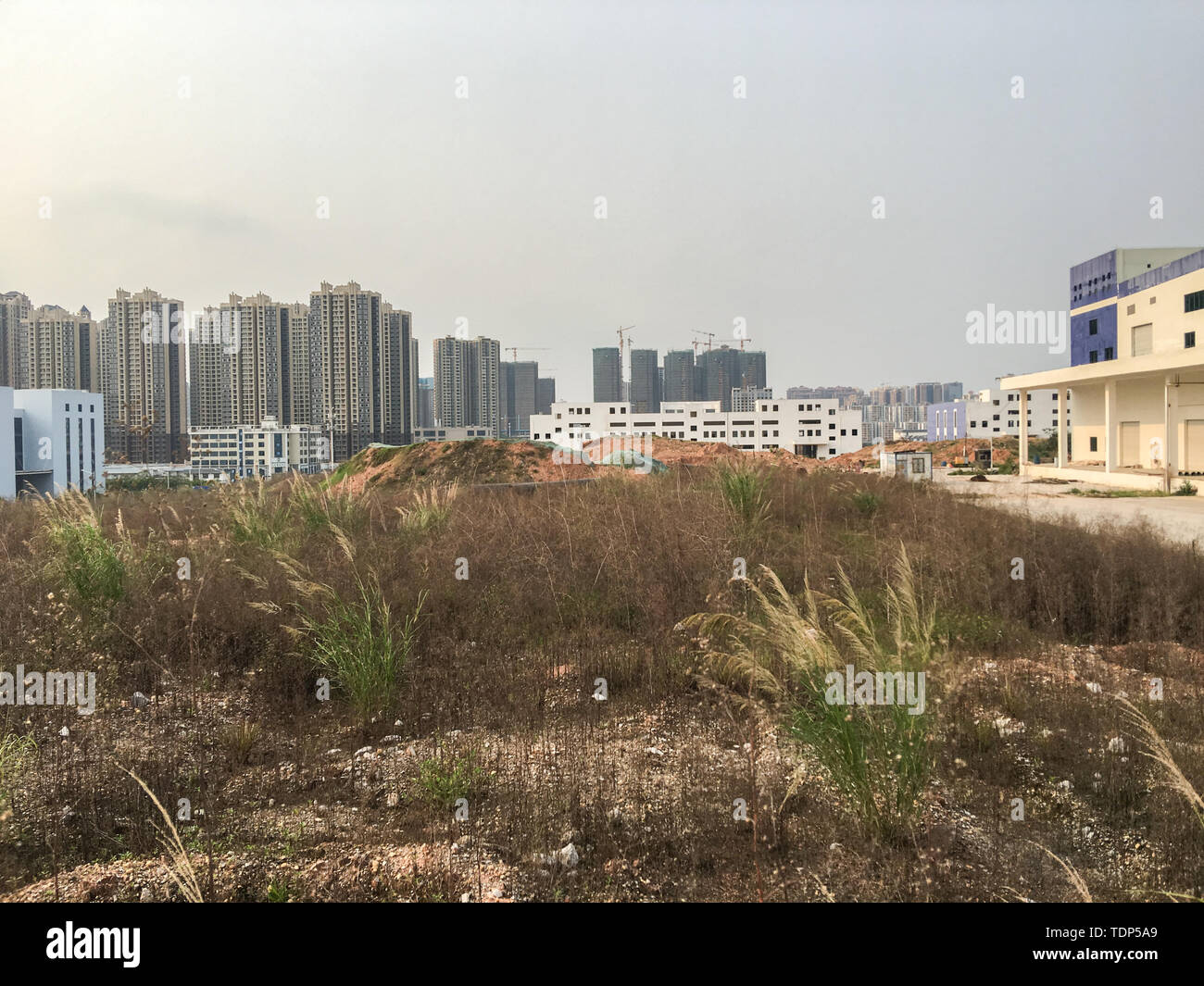 Construction of an economic development zone Stock Photo - Alamy