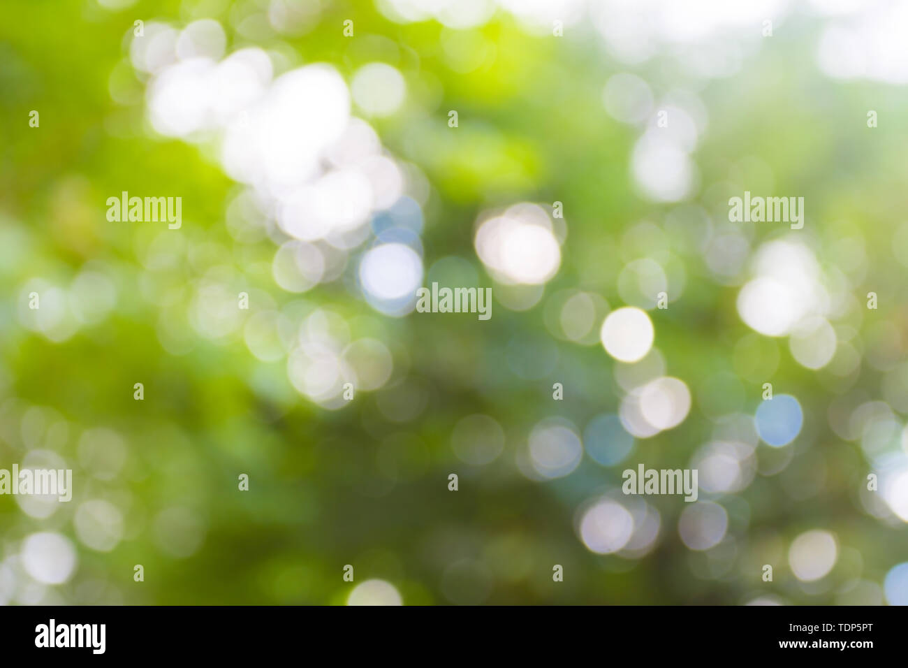 Abstract nature background Stock Photo - Alamy