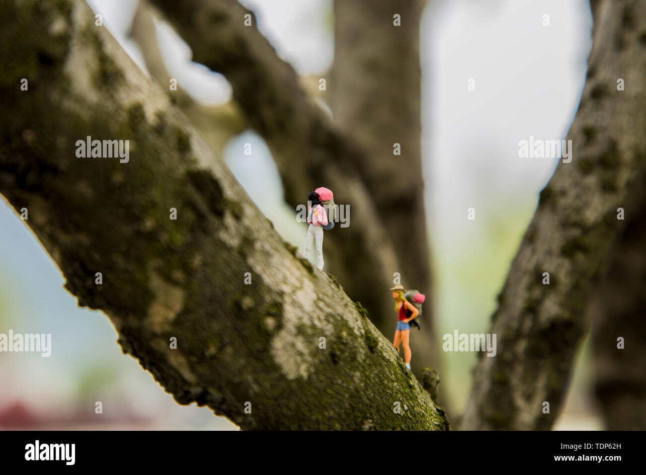 Miniature landscape design hi-res stock photography and images - Alamy