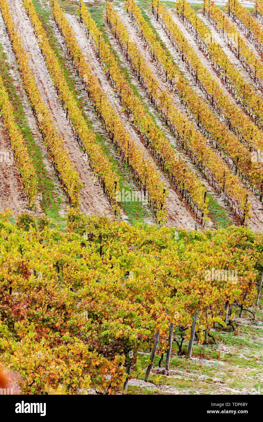 Rhona france hi-res stock photography and images - Alamy