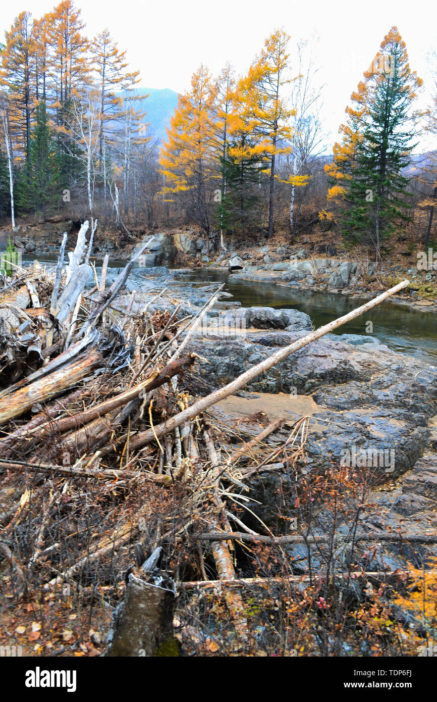 Russia season hi-res stock photography and images - Alamy