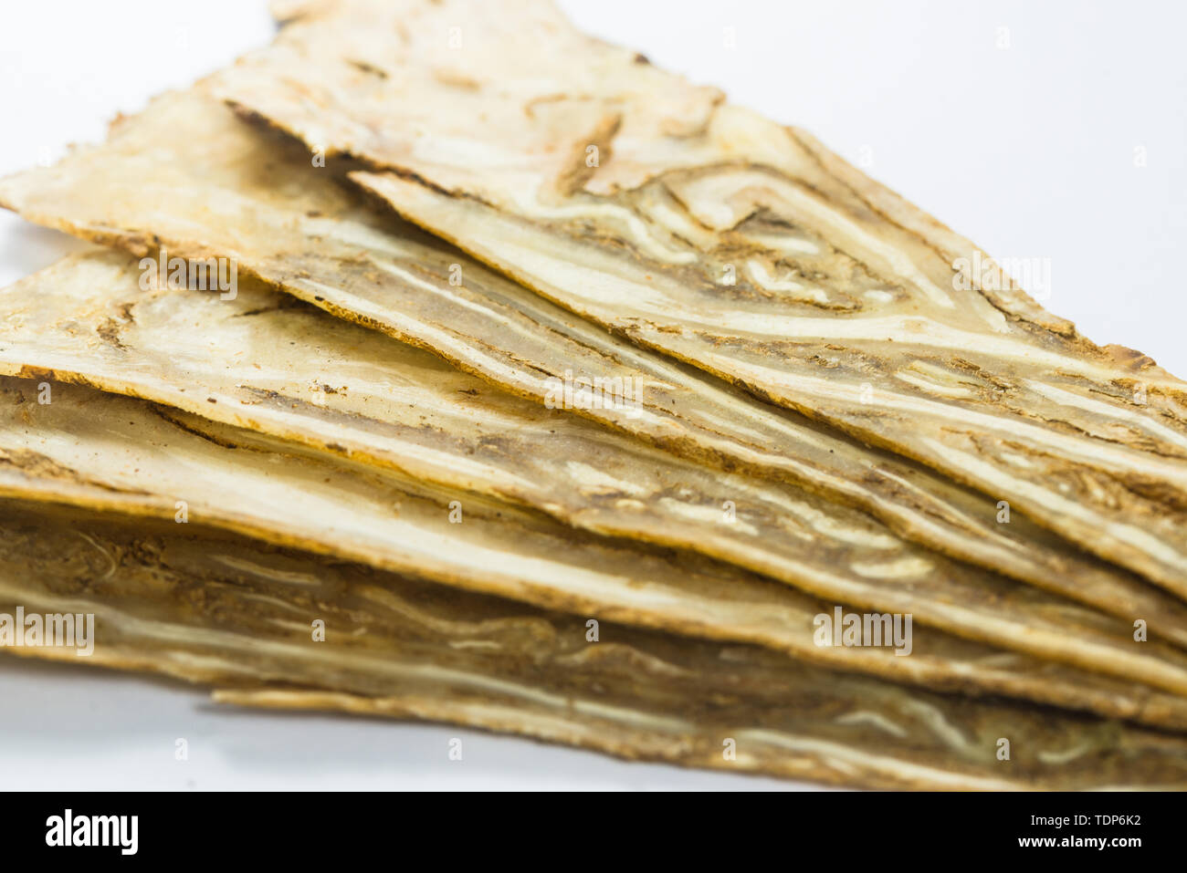 Angelica on white background Stock Photo - Alamy