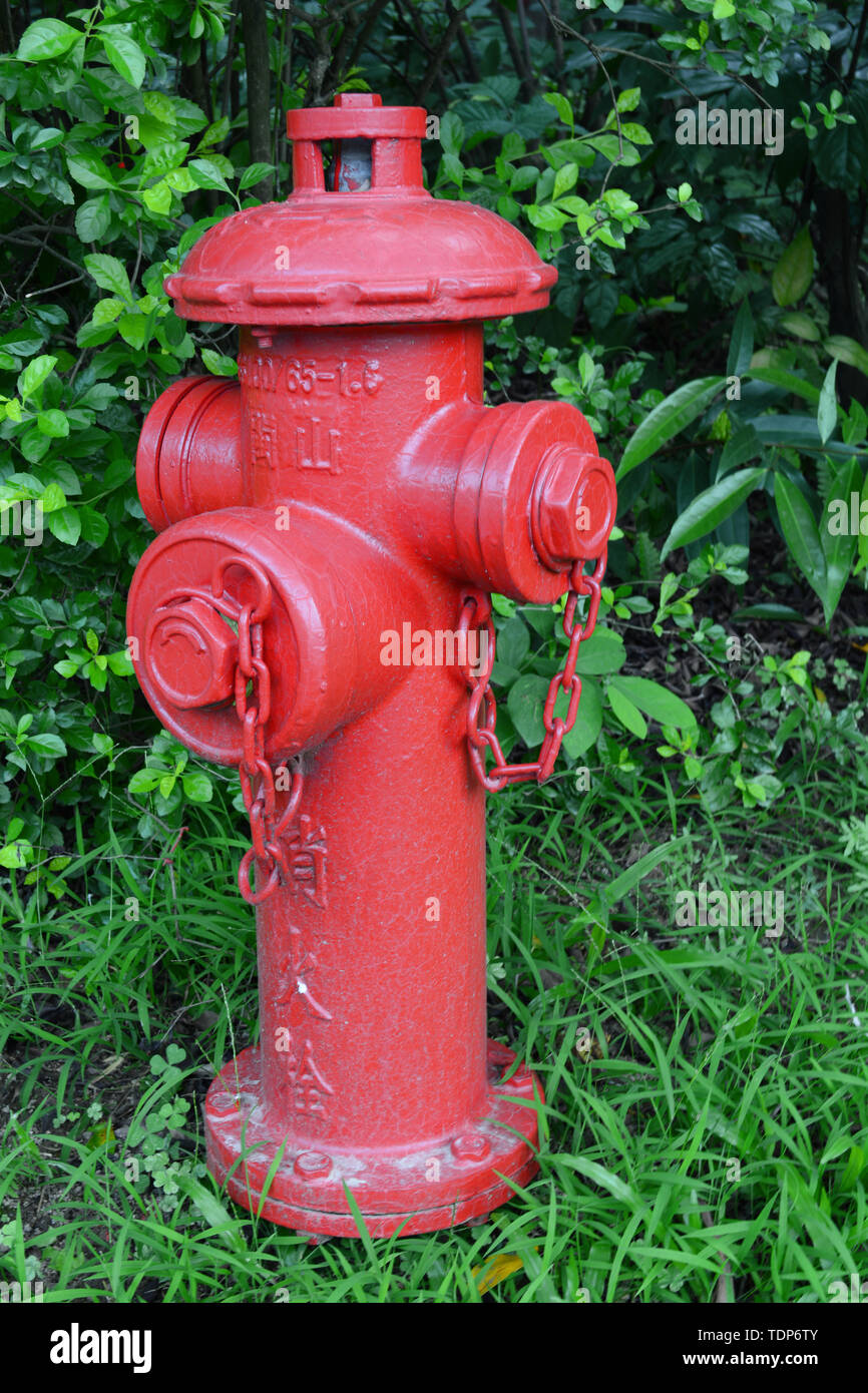 Fire hydrant in the park Stock Photo - Alamy