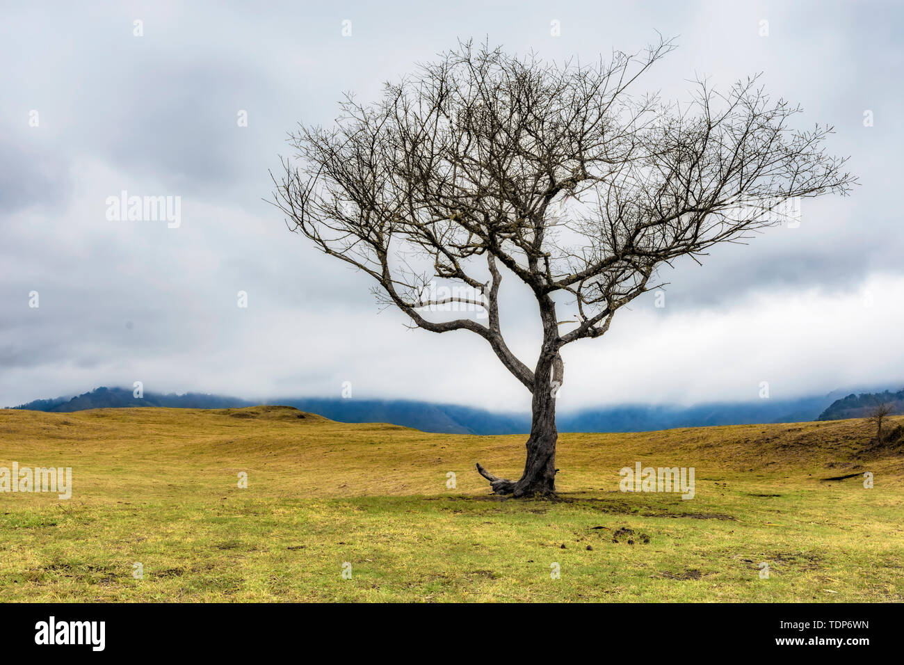Western sichuan aba hi-res stock photography and images - Alamy