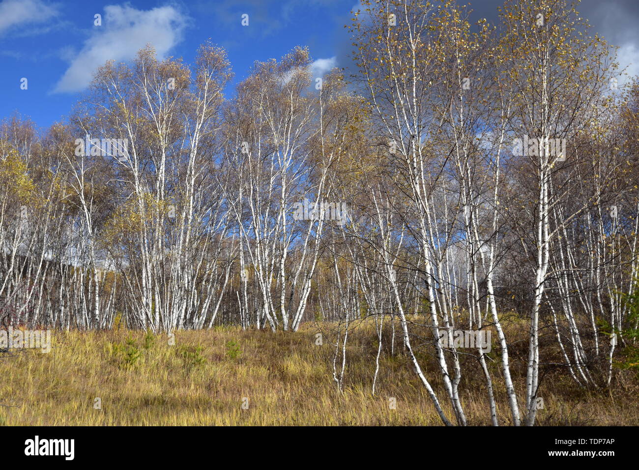 Saihan dam scenery Stock Photo - Alamy