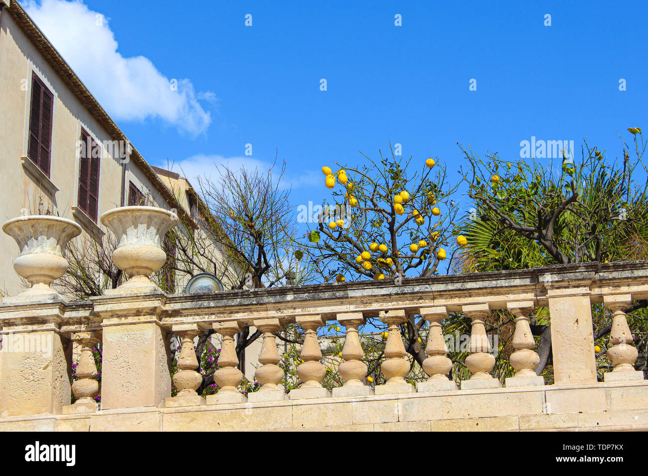 Lemon tree with ripe lemons on historical balcony adjacent to Santa ...