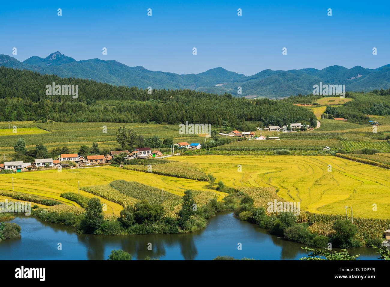 Fall country fields Stock Photo - Alamy