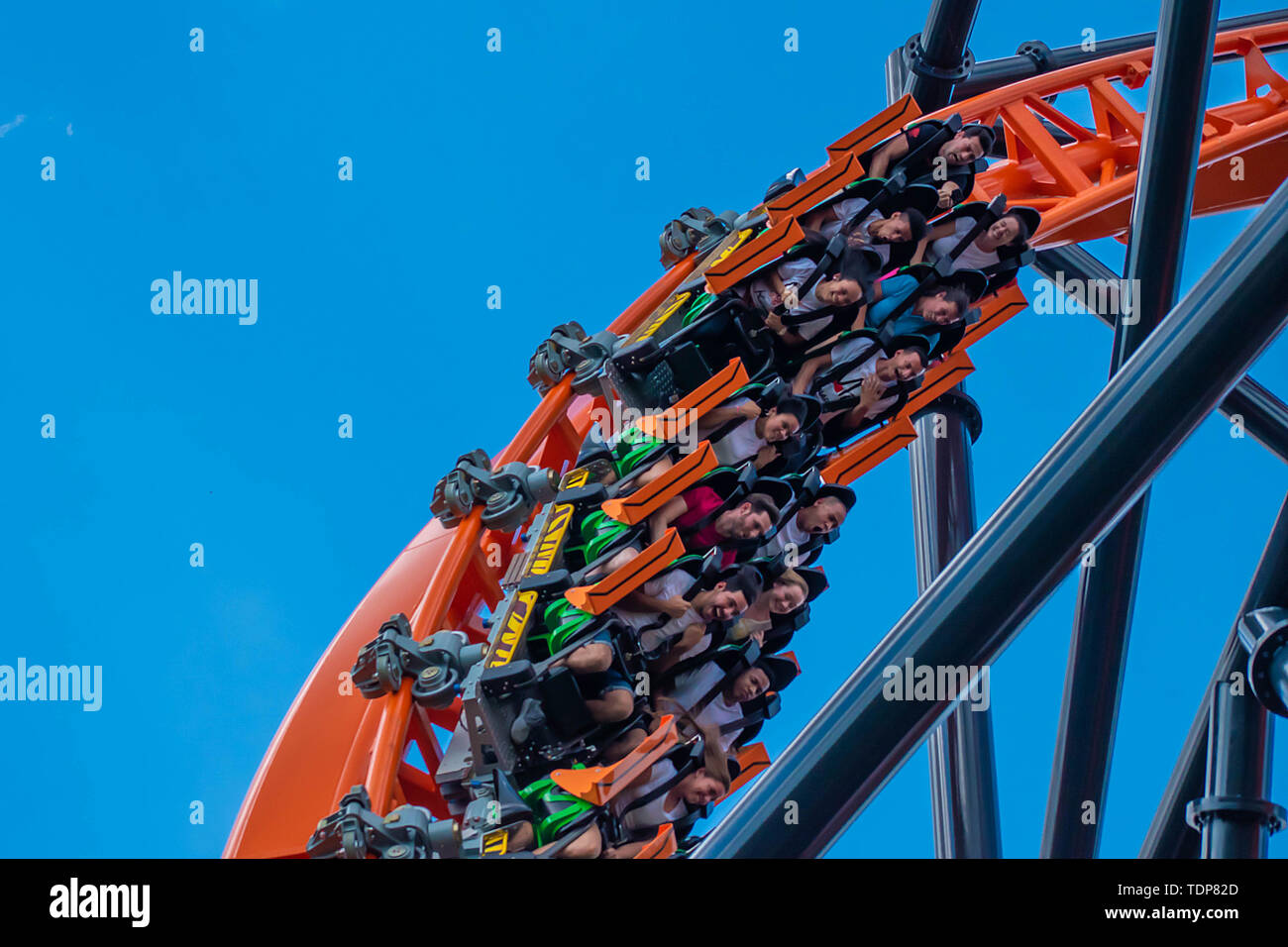 Busch gardens tigris hi-res stock photography and images - Alamy