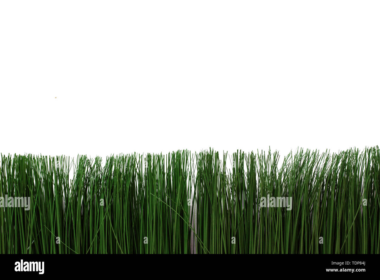 Rectangular lawn garden hi-res stock photography and images - Alamy