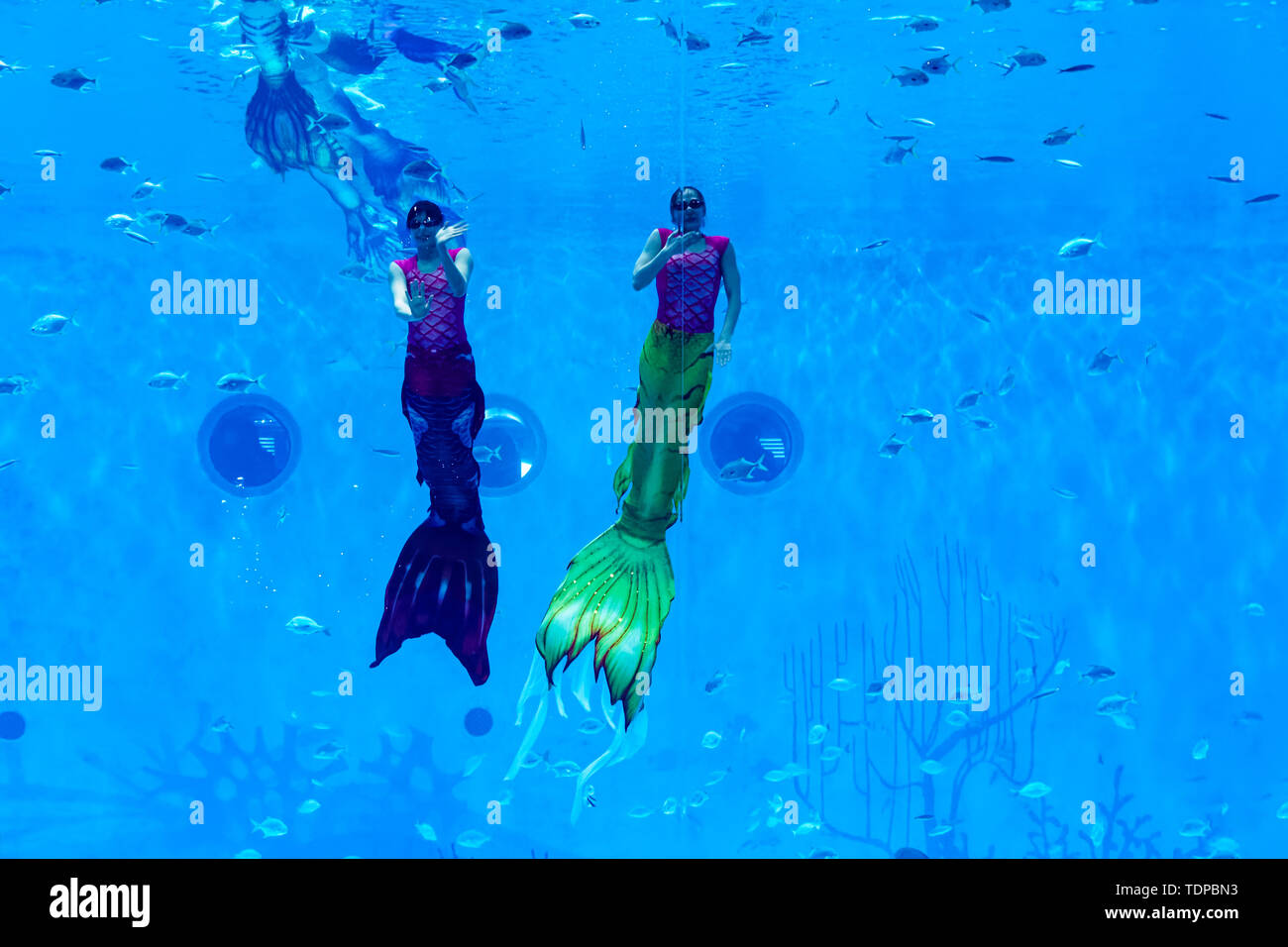 Mermaid performance at Haichang Ocean Park, Shanghai Stock Photo - Alamy