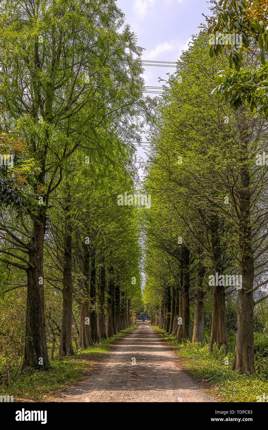 Shady trails hi-res stock photography and images - Alamy