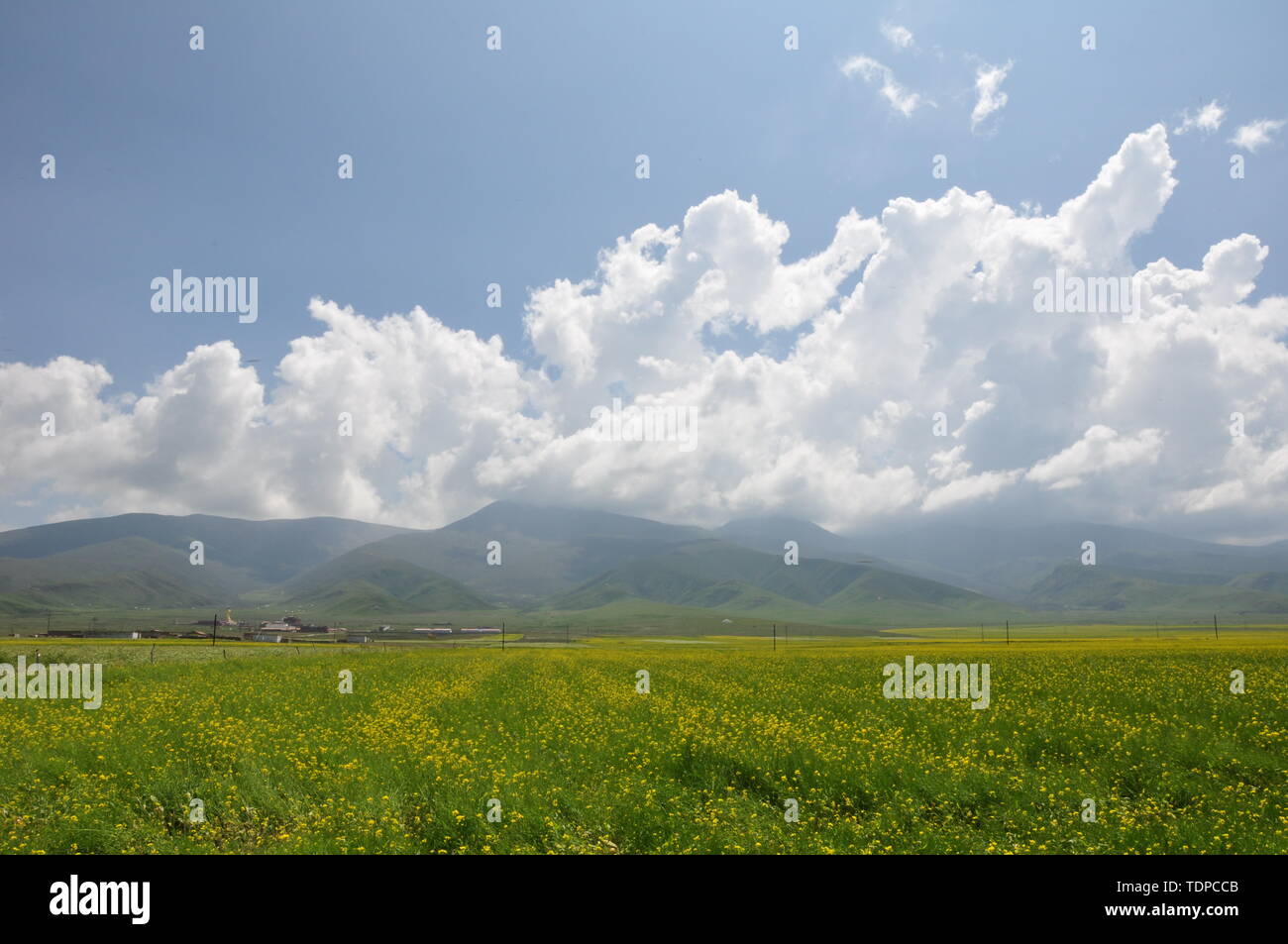 Comfortable weather with qinghai lake hi-res stock photography and ...