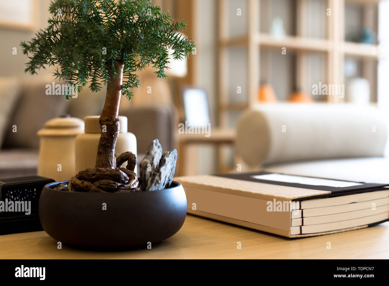 table with green pot plant in modern living room Stock Photo - Alamy