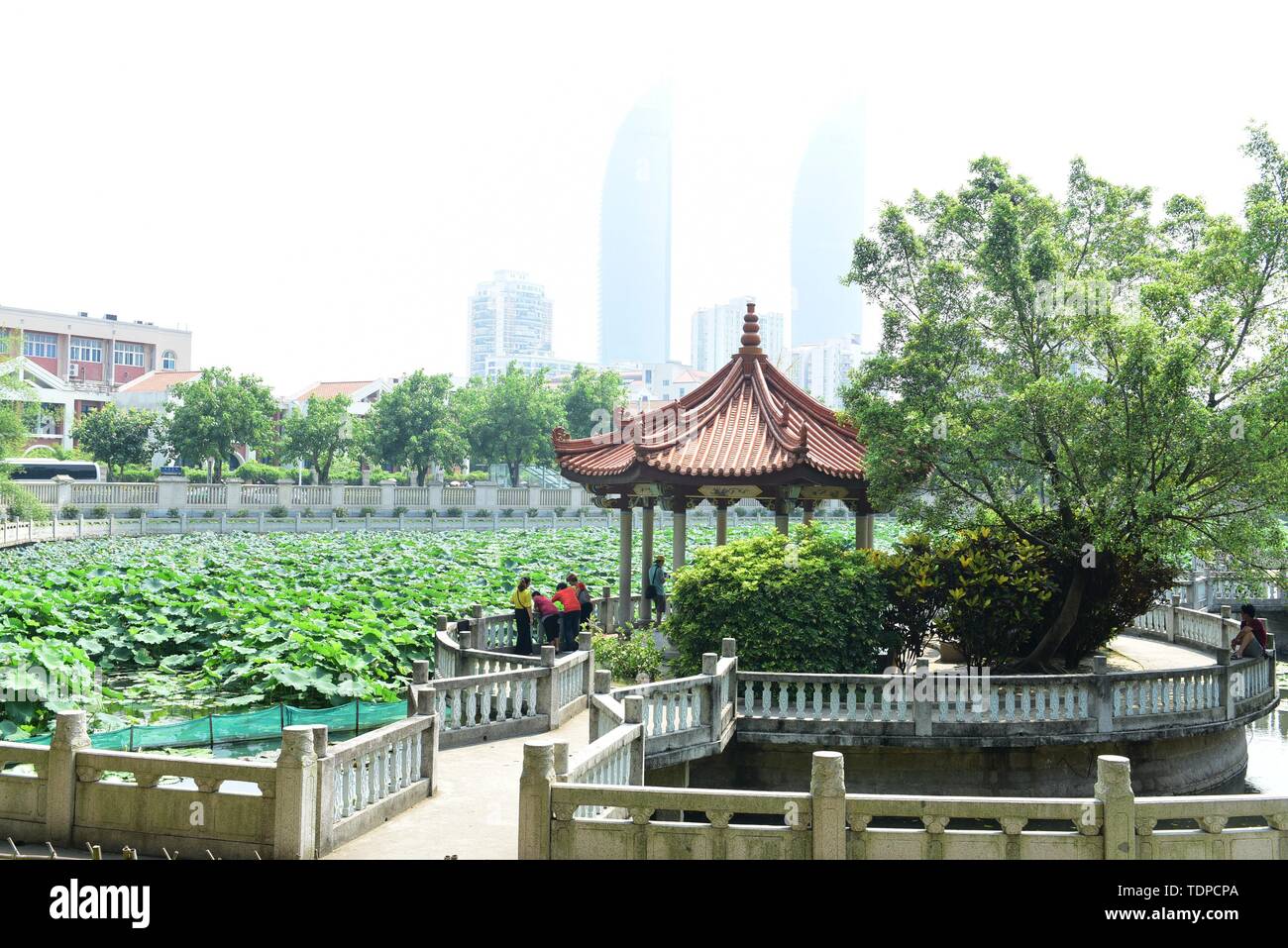 Scenery of lotus pond, Nanputuo Temple, Fujian Stock Photo - Alamy