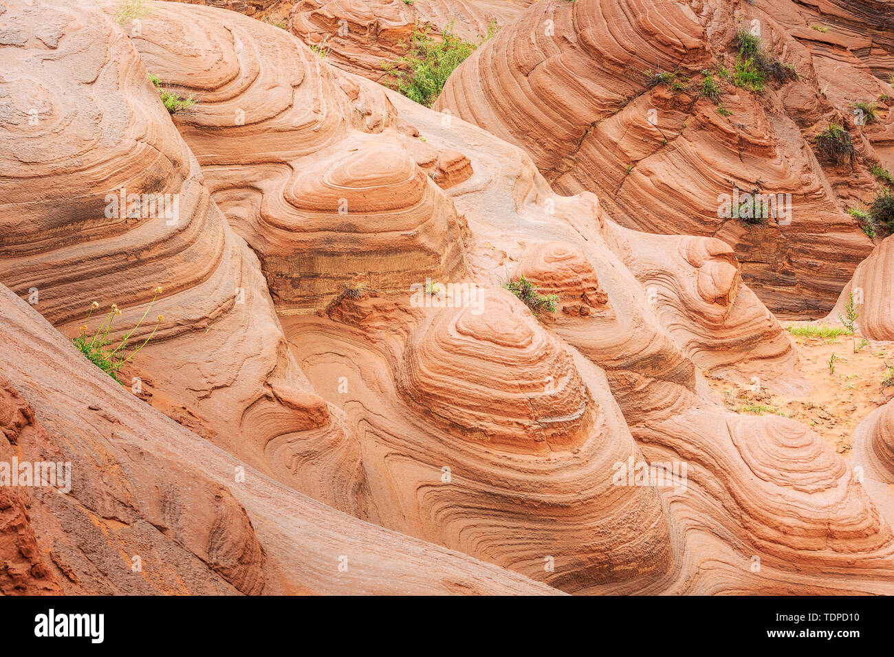 The Valley of the Danforth Stock Photo - Alamy