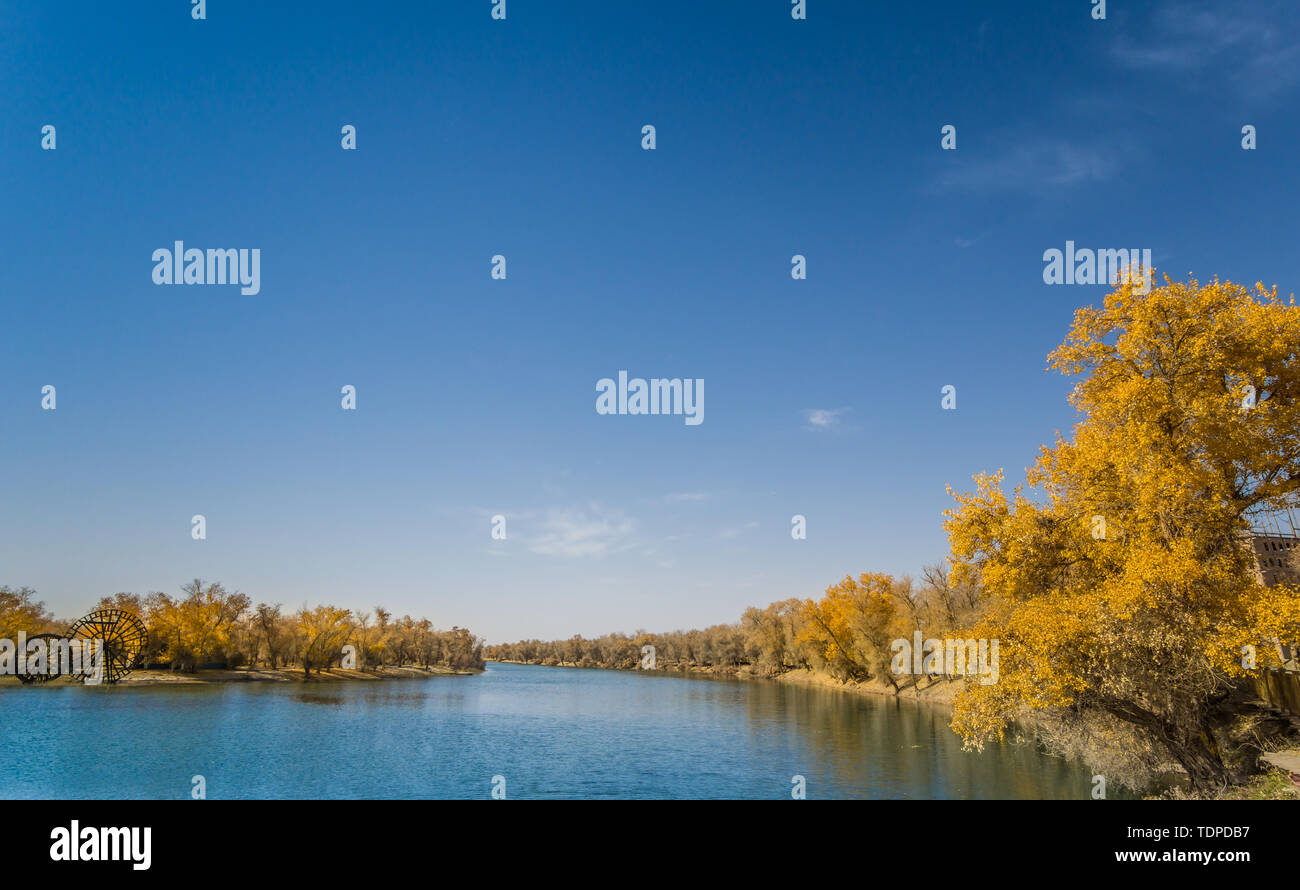 Poplar Lin, lake, reflection, beautiful scenery Stock Photo - Alamy
