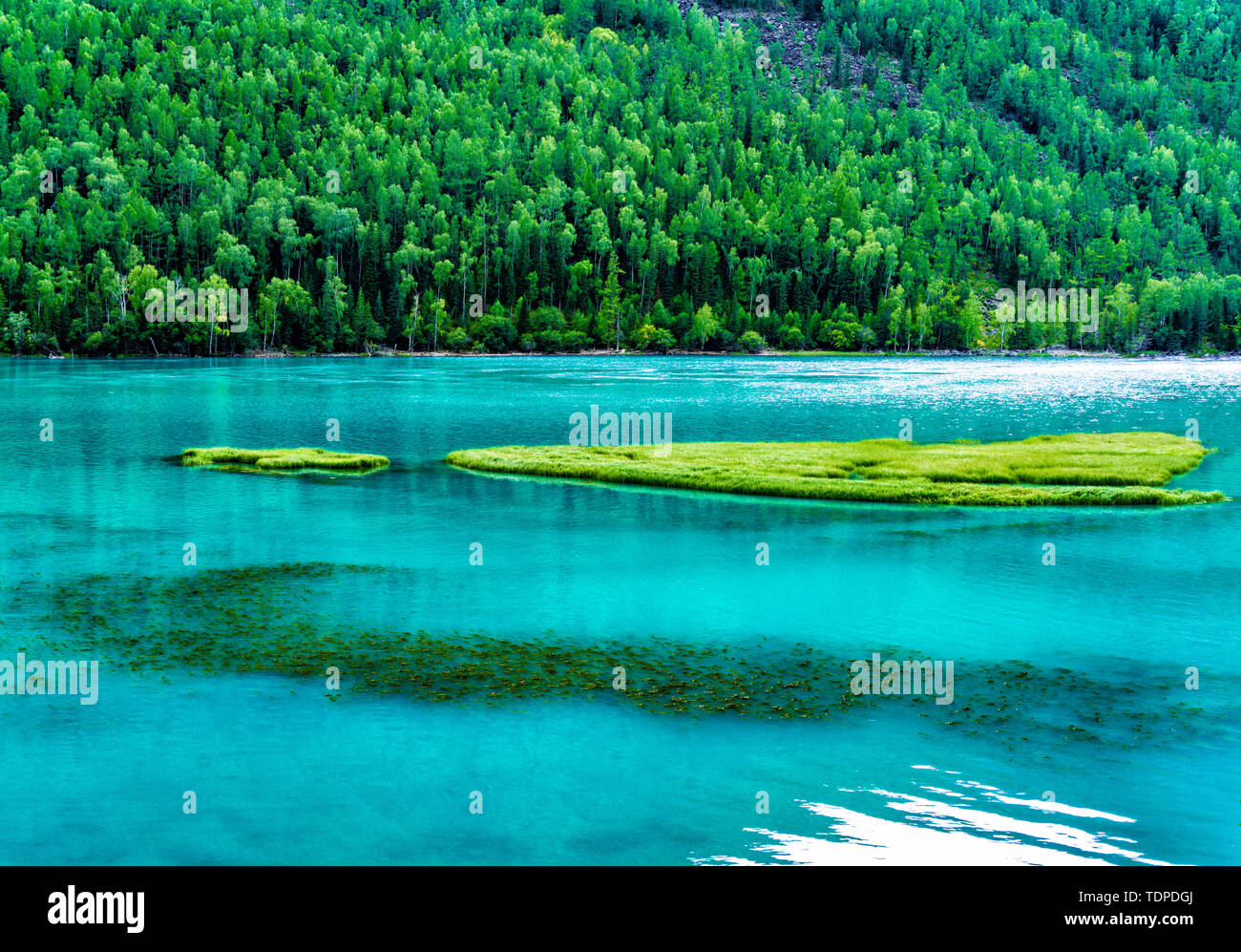 Xinjiang kanas national geopark hi-res stock photography and images - Alamy