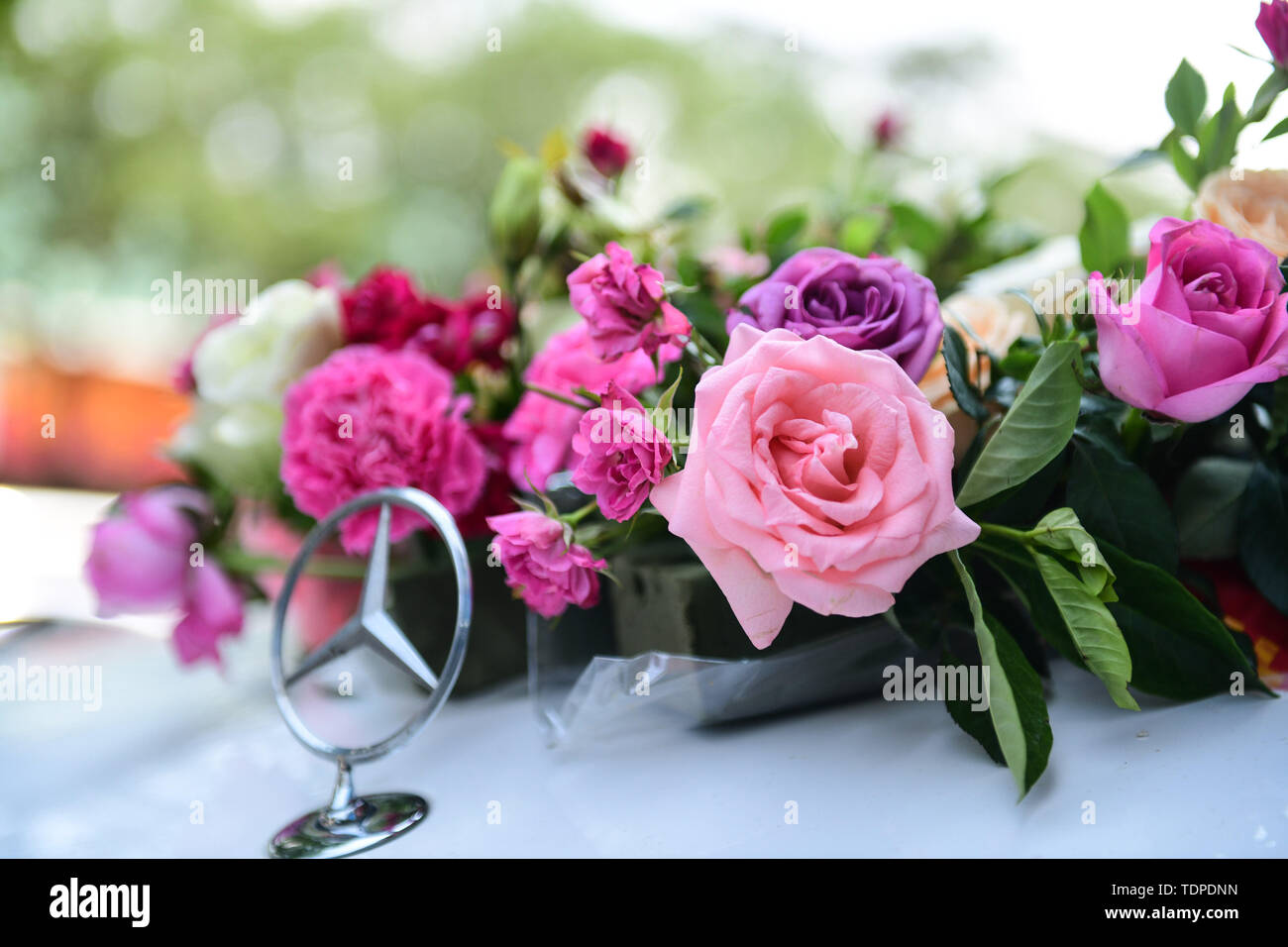 Rose petals float hi-res stock photography and images - Alamy