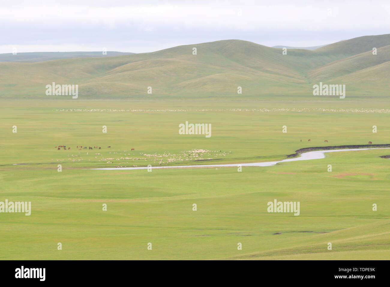 Erguna river erguna river wetland hi-res stock photography and images ...