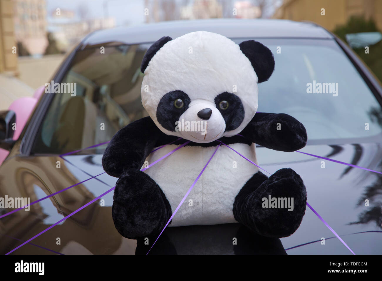 A panda doll placed in front of a car for circumcision . panda toys ...