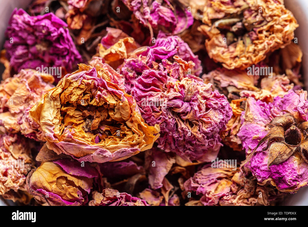 Flower tea rose buds Stock Photo - Alamy
