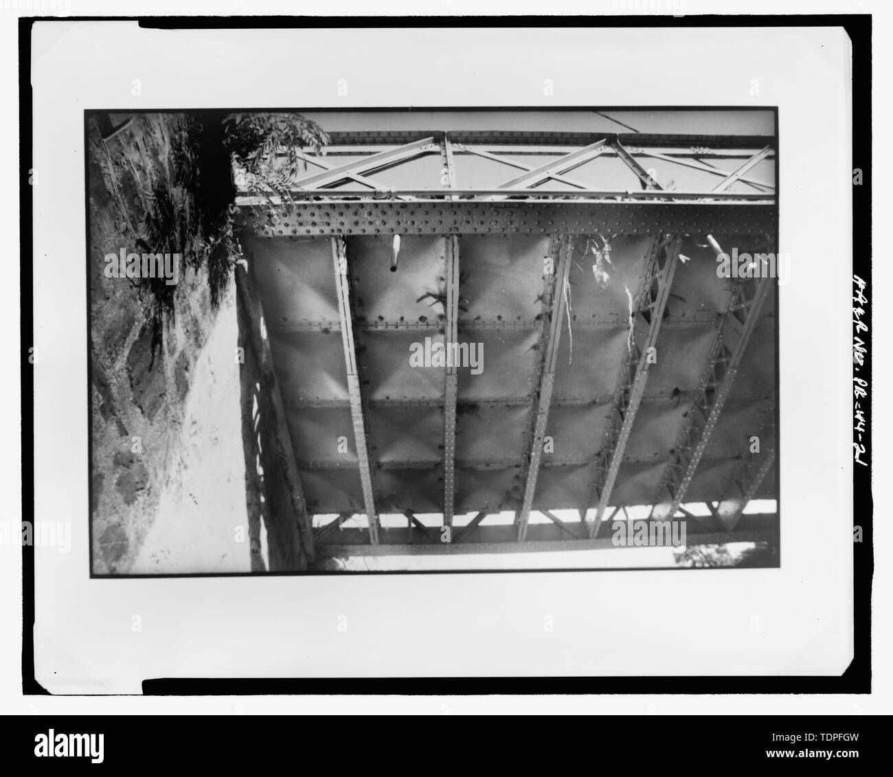 (original 35 millimeter negative in possession of Luis Pumarada, San ...