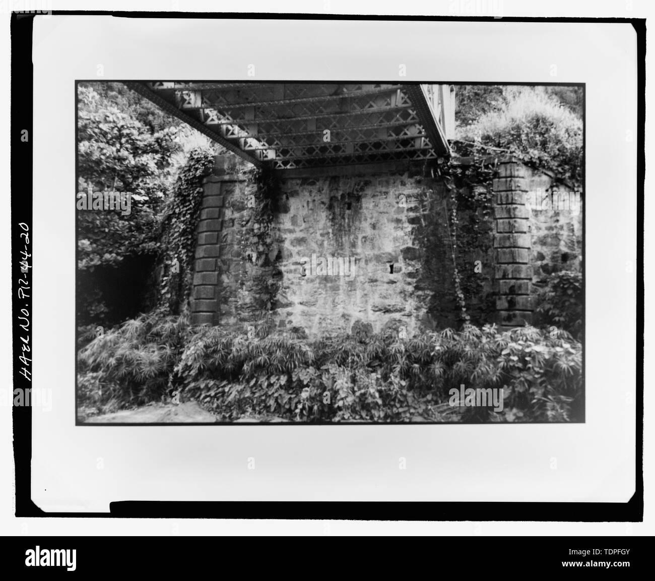 (original 35 millimeter negative in possession of Luis Pumarada, San ...