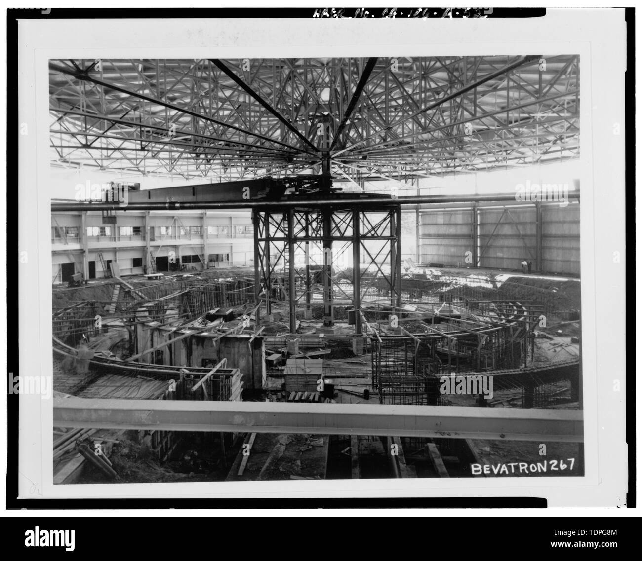 1950 lab Black and White Stock Photos & Images - Alamy