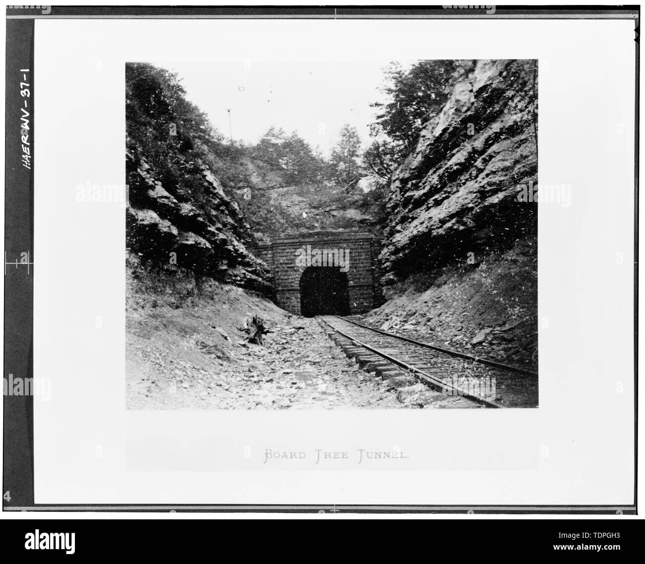 Albert fink hi-res stock photography and images - Alamy