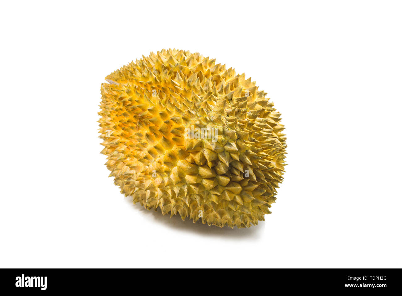 Durian seeds hi-res stock photography and images - Alamy