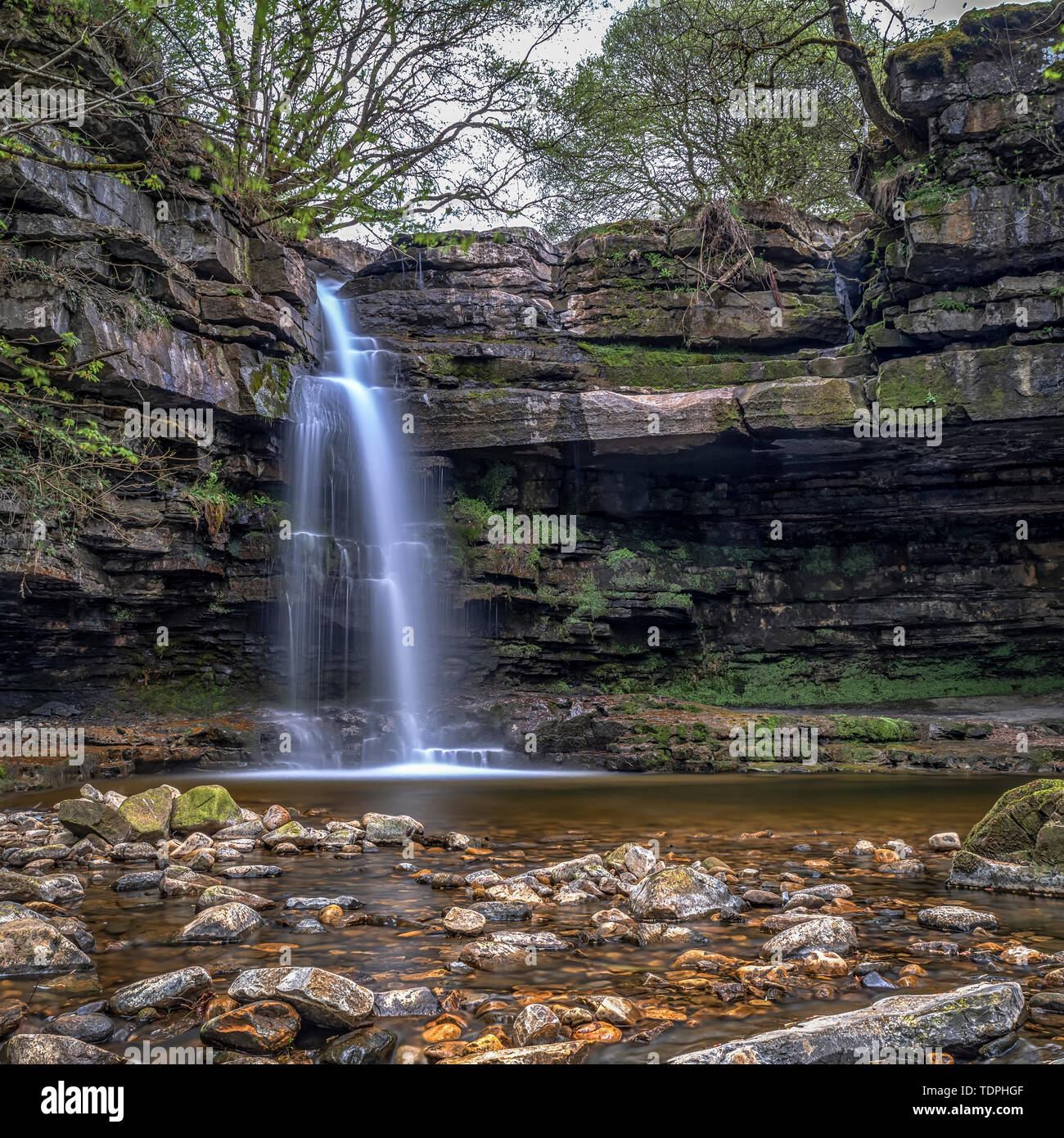 Summerhill Force is a picturesque waterfall in a wooded glade in Upper ...