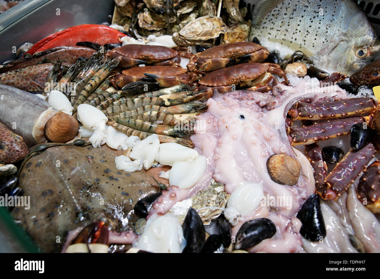 Great variety of fish and seafood on fish market display Stock Photo ...