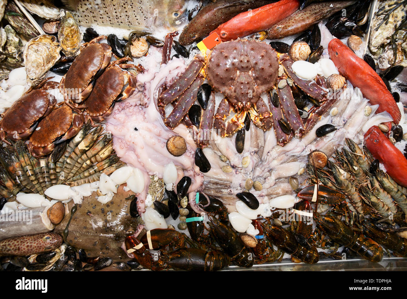 Great variety of fish and seafood on fish market display Stock Photo ...