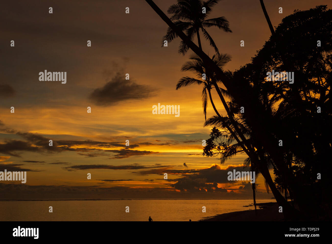 Colorful sunrise on the Tambua Sands Beach on Fiji Island, Fiji Stock ...