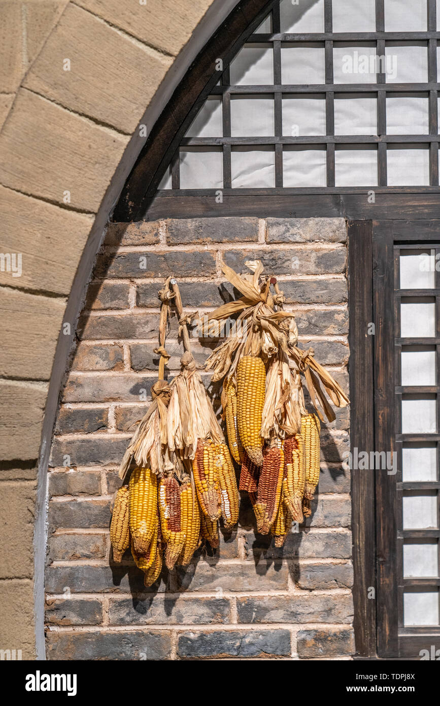 Large reed millet hi-res stock photography and images - Alamy