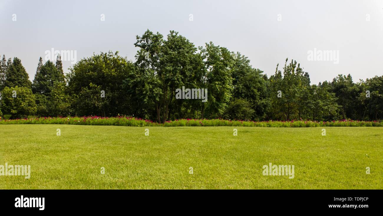 Shanghai Binjiang Forest Park Scenery Stock Photo - Alamy