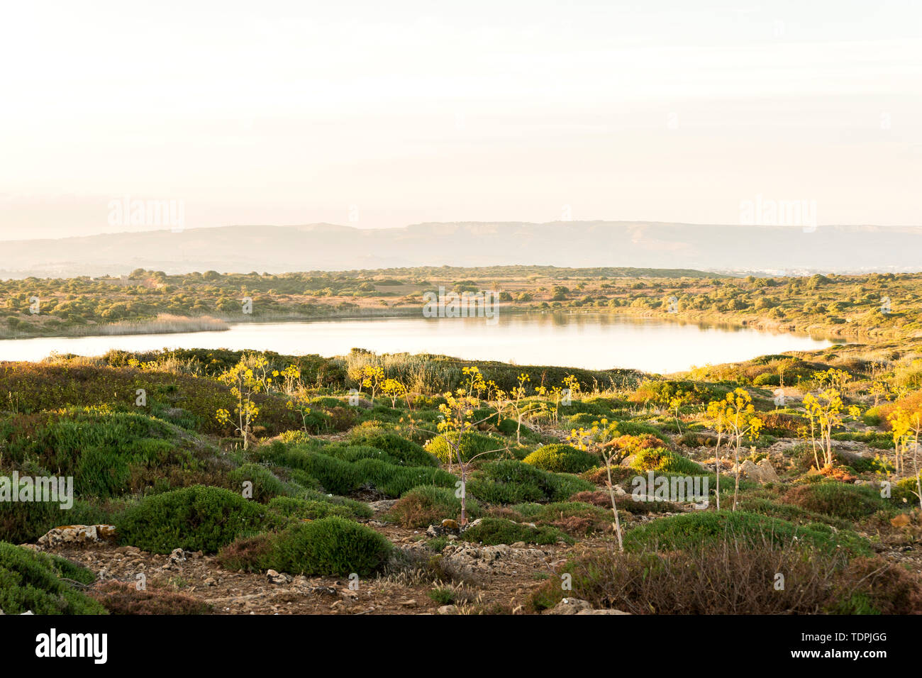 Sceneries of The Great Swamp of Vendicari Nature Reserve in Sicily ...