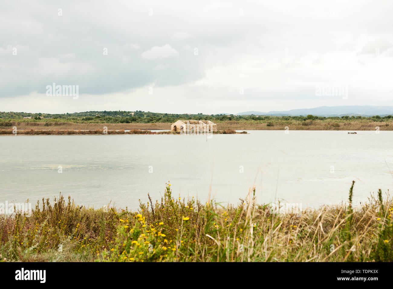 Sceneries of The Great Swamp of Vendicari Nature Reserve in Sicily ...
