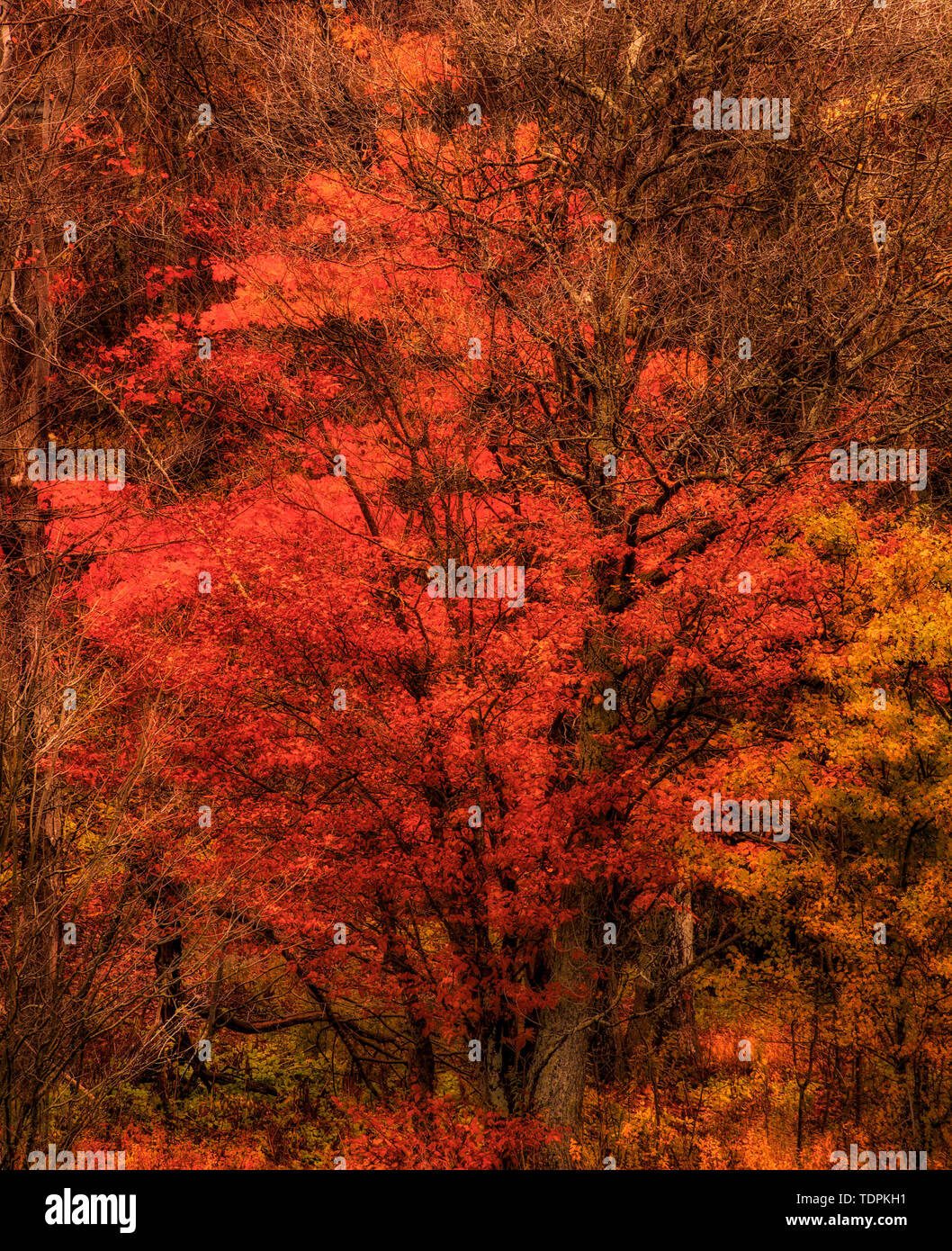 Little sackville river hi-res stock photography and images - Alamy