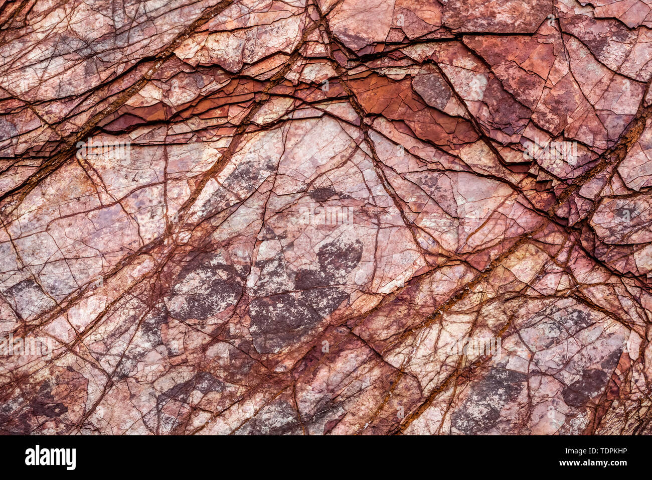 Minas basin hi-res stock photography and images - Alamy