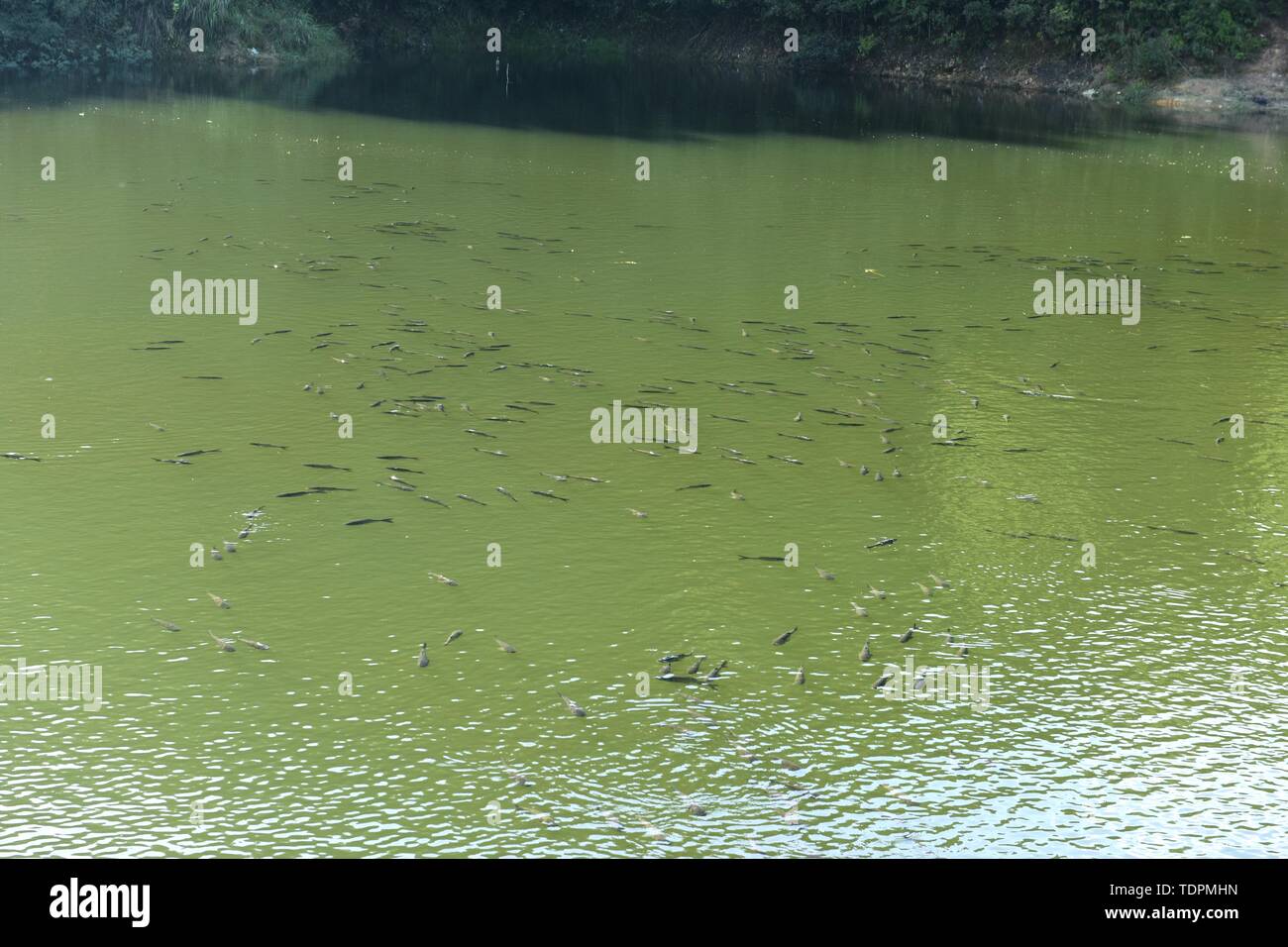 Dam mural painting hi-res stock photography and images - Alamy