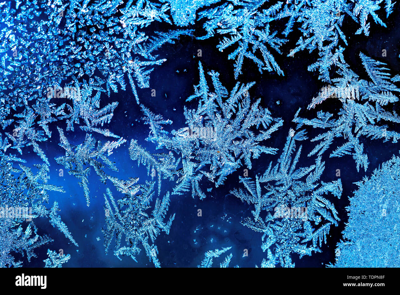 Extreme close-up of frost patterns on a window; Calgary, Alberta ...