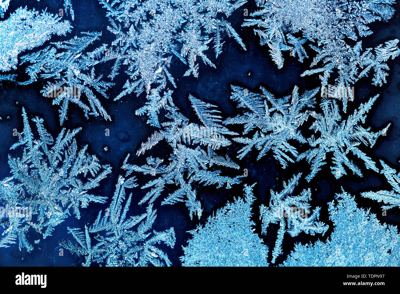 Extreme close-up of frost patterns on a window; Calgary, Alberta ...