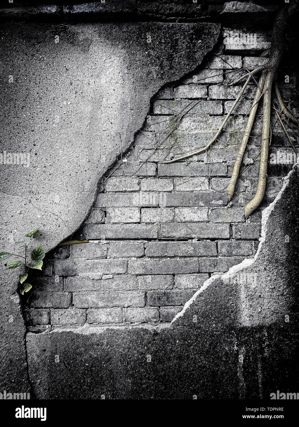 Black white line stone hi-res stock photography and images - Alamy