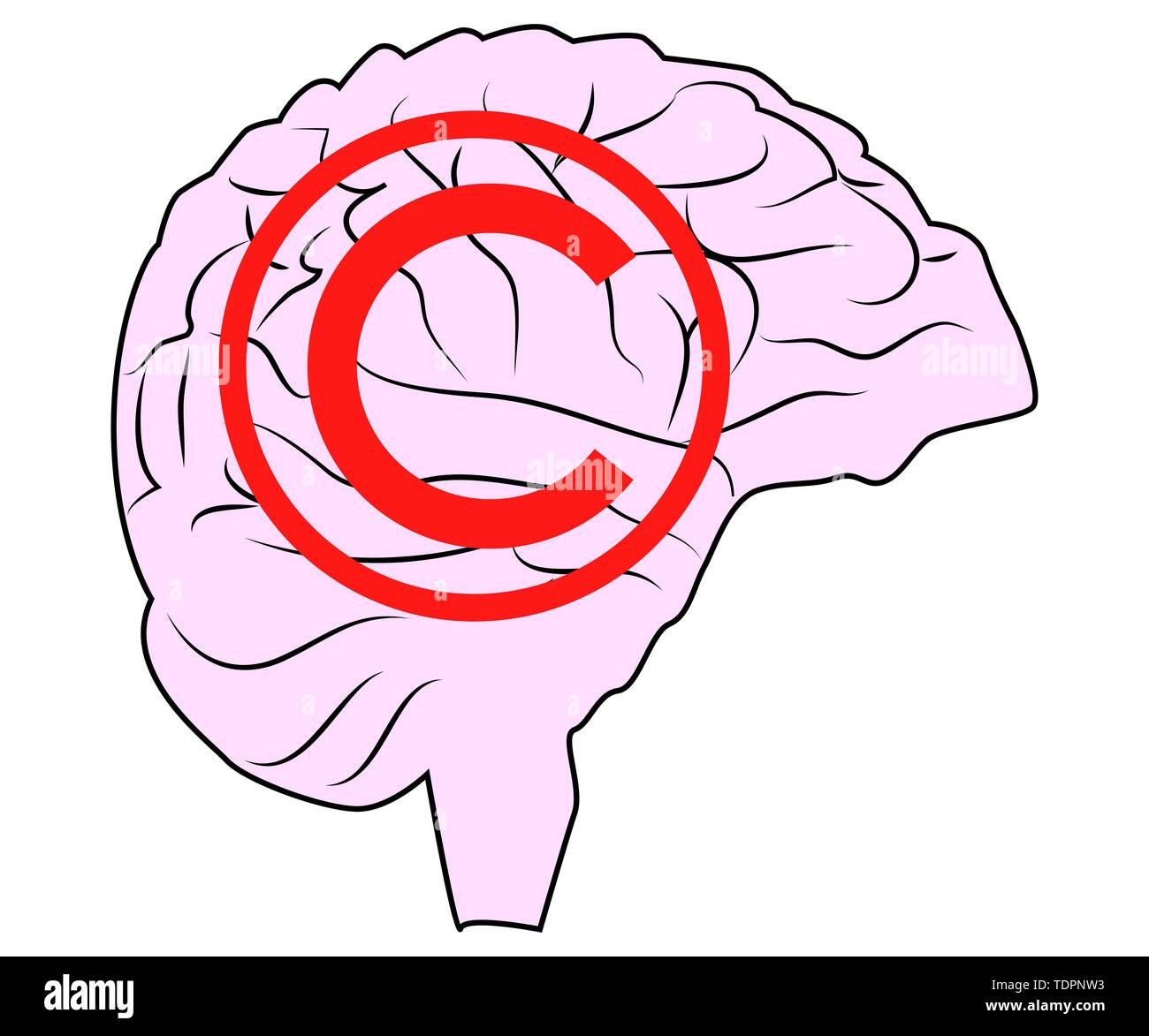 Brain under lock and key, concept of intellectual protection ...