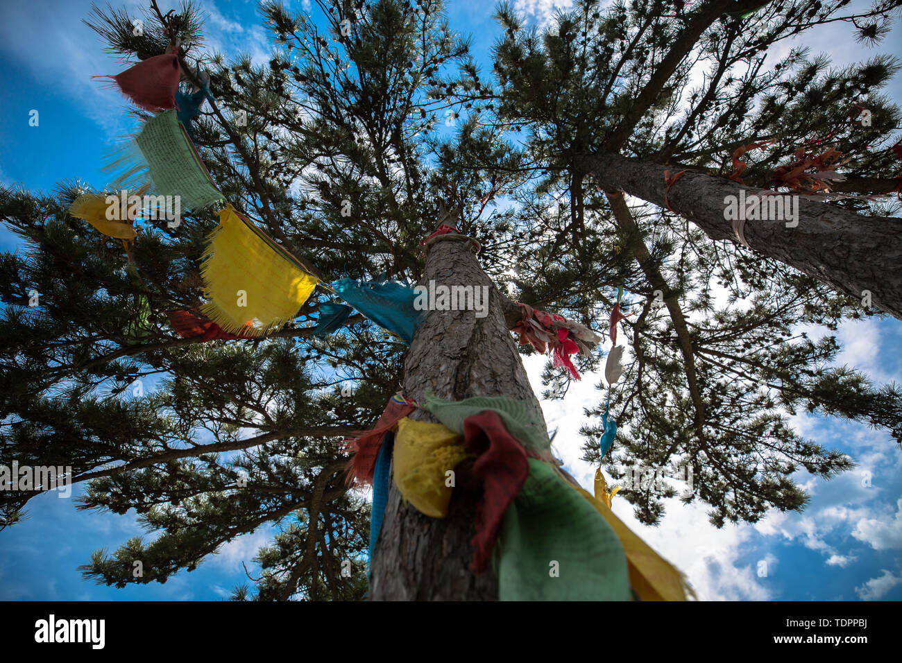 Jiuding hi-res stock photography and images - Alamy