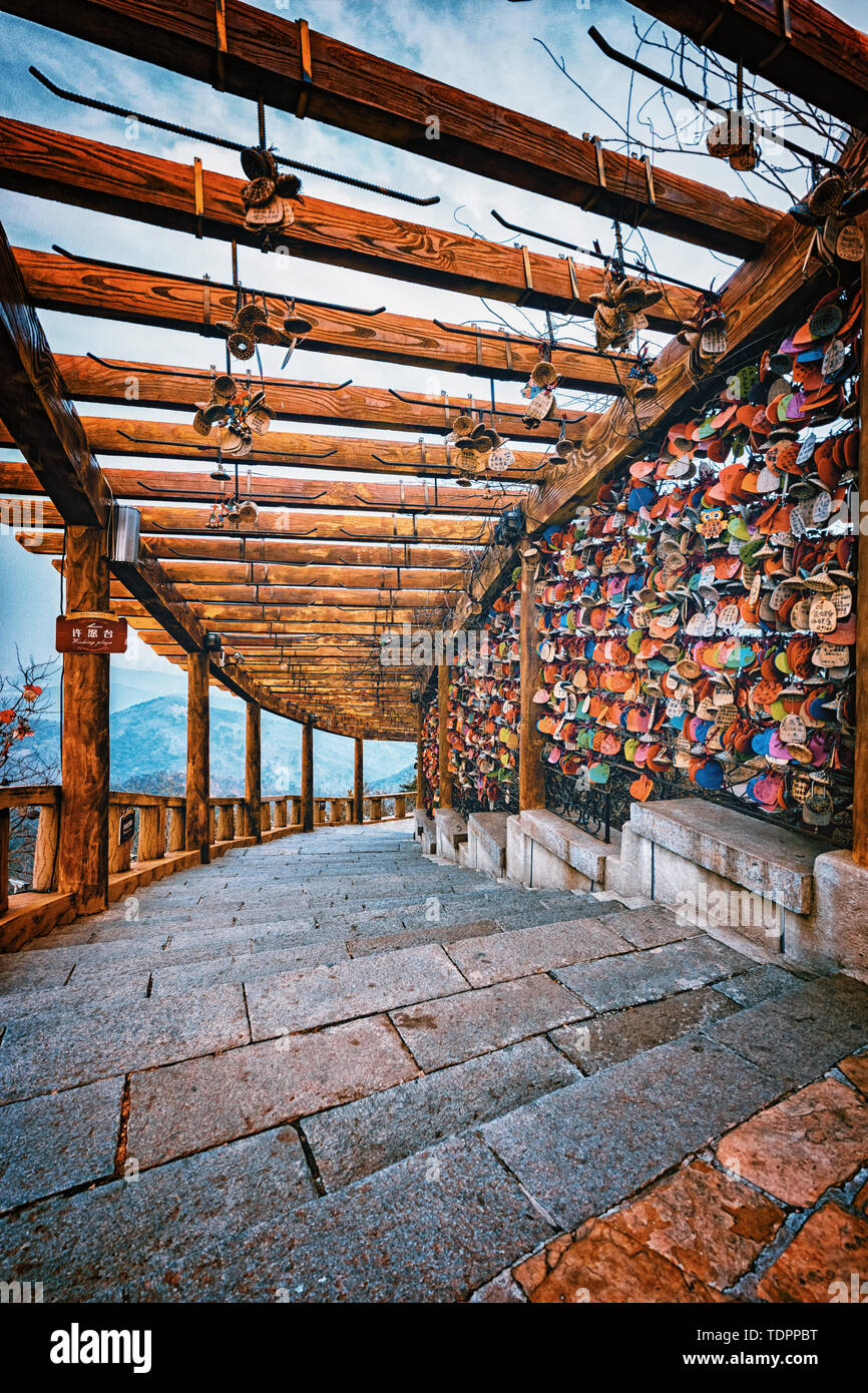 Lianhua hi-res stock photography and images - Alamy