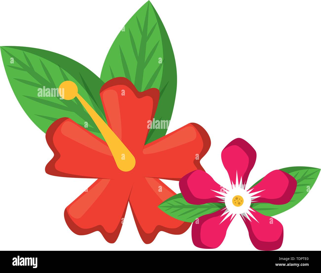 Flowers with leaves gardening cartoon Stock Vector Image & Art - Alamy
