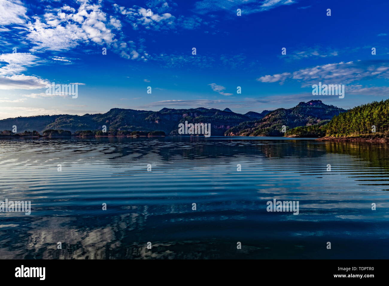 Big Golden Lake skimming Stock Photo - Alamy