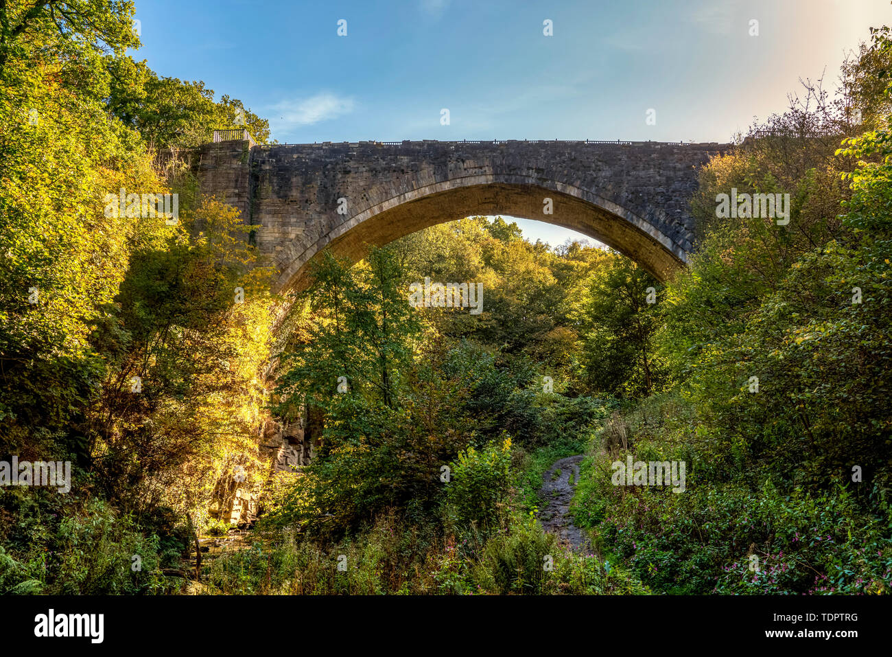 Washington tyne and wear hi-res stock photography and images - Alamy